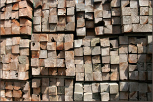 Lapok Belian Timber - commonly known as Hard wood, Red wood, Iron wood ...