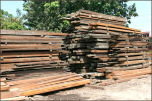 Lapok Belian Timber - commonly known as Hard wood, Red wood, Iron wood ...